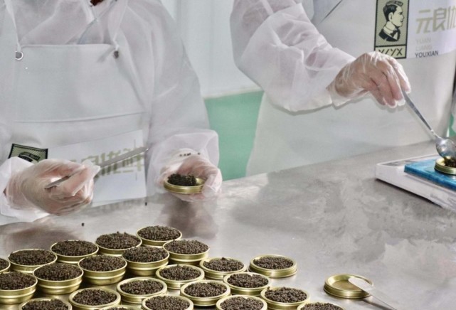 Yuanliangyou Fresh Caviar Farming Base Visiting Tour - iNEWS