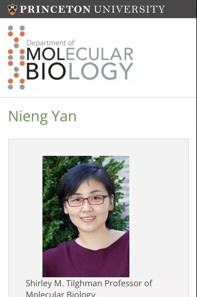 Why, as a Chinese, I support Professor Yan Ning's departure from the ...