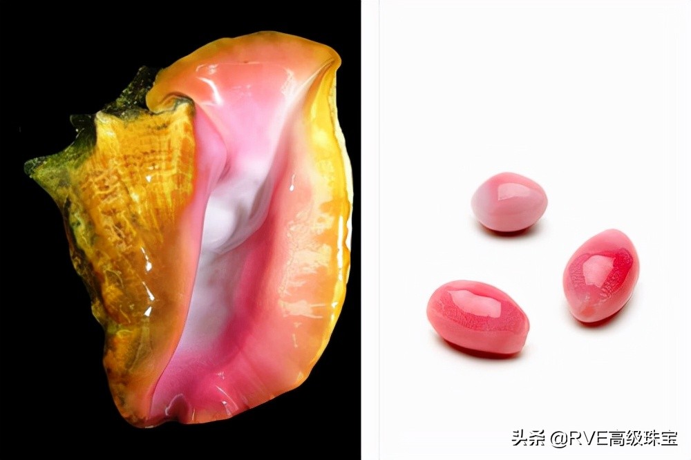 Demystifying Conch Beads: The annual output is less than 900, a rare ...