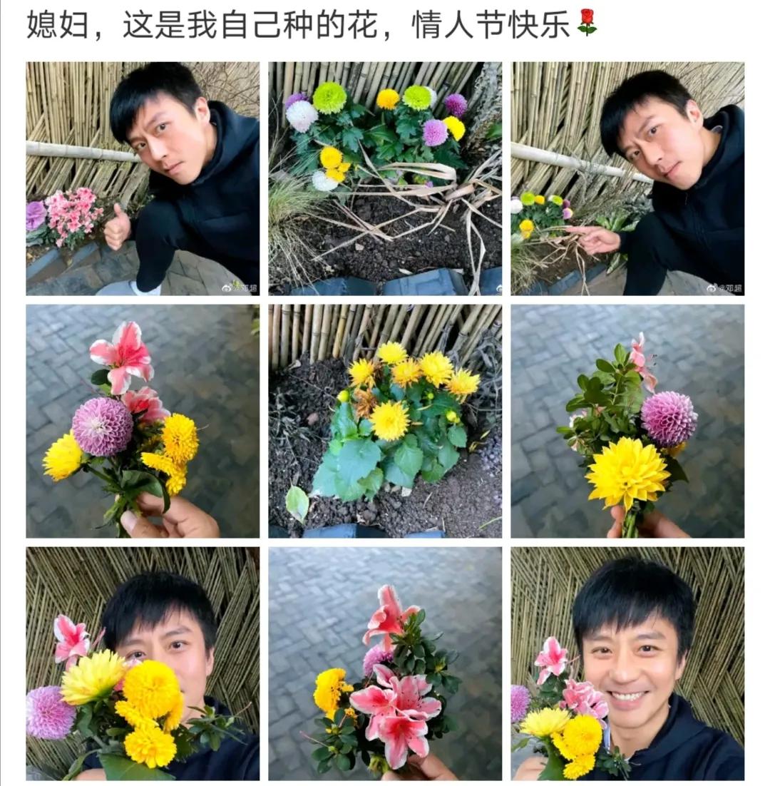 The empress wants to pierce Deng Chao?Sun Li arranges acupuncture and ...