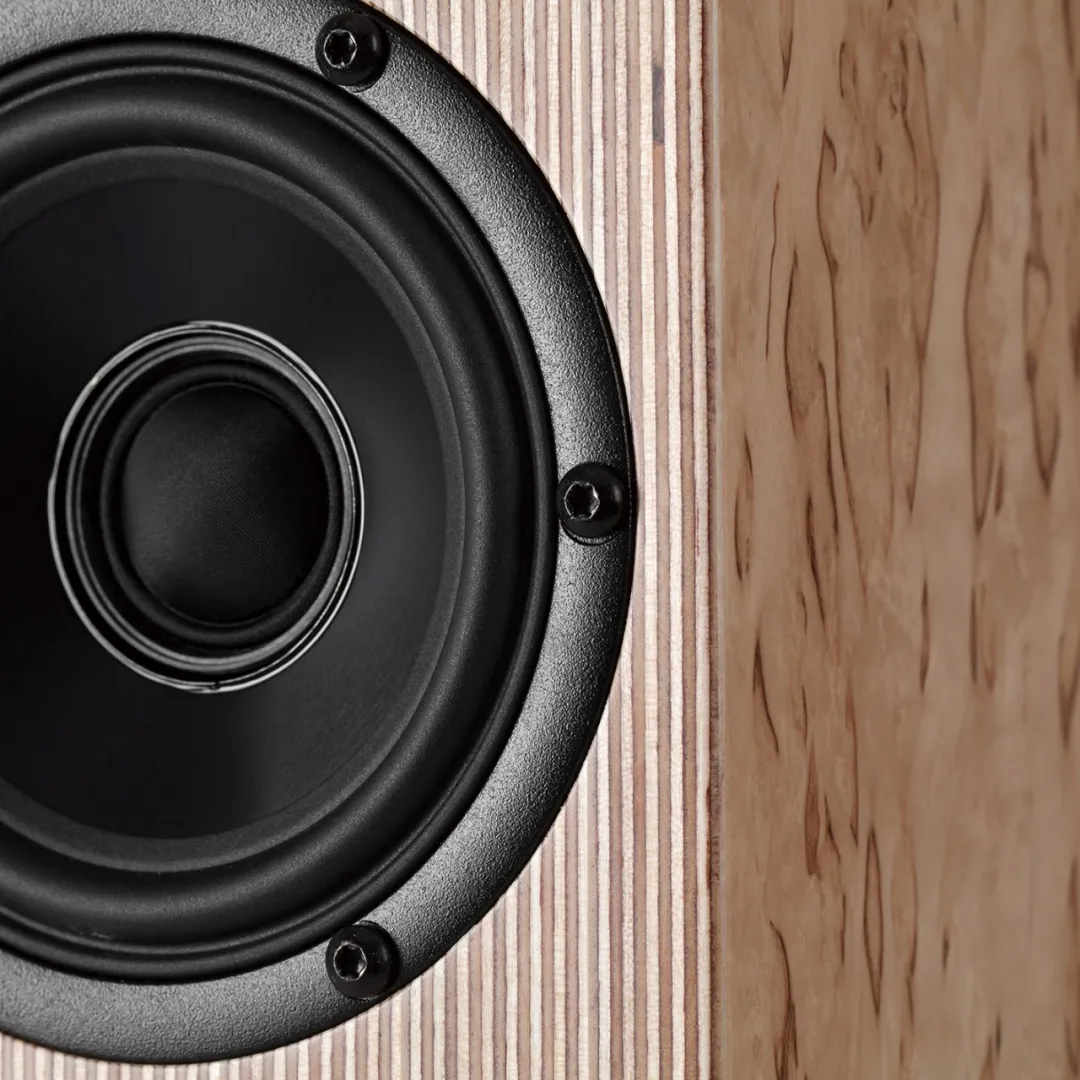 PENAUDIO 6.6 CX 20th Anniversary Edition Speaker - iNEWS