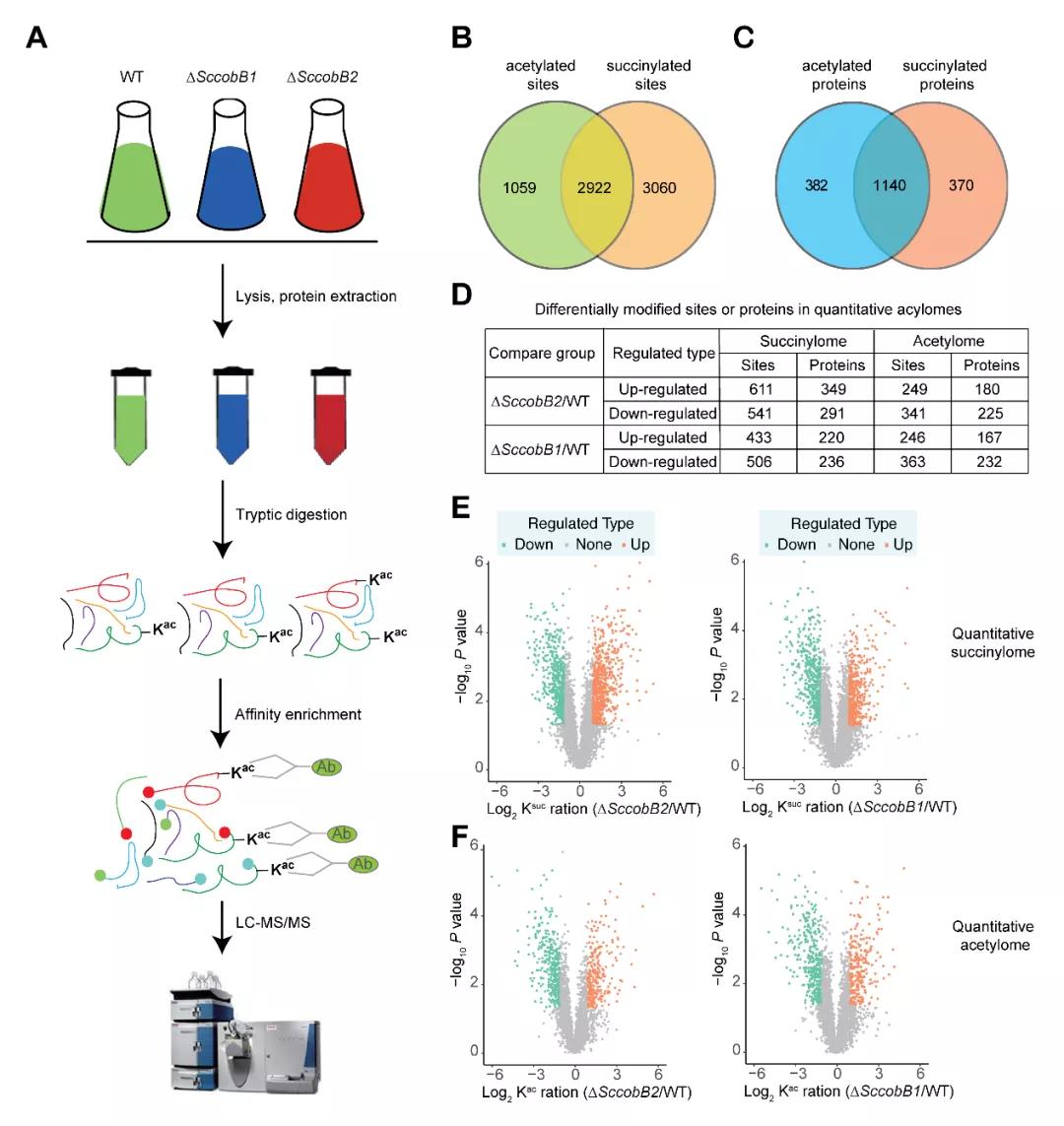 The Zhao Guoping/Zhao Wei team of Shenzhen Advanced Institute has made ...
