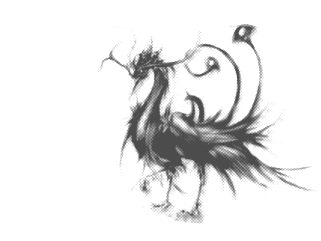 Three-legged Golden Crow in the Hexi Corridor - iNEWS