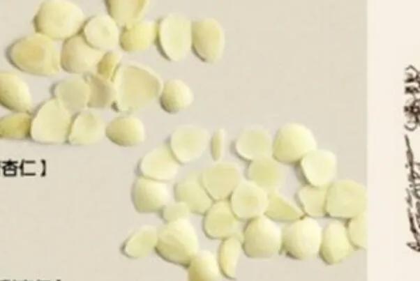 How is the difference between sweet almonds and bitter almonds better ...