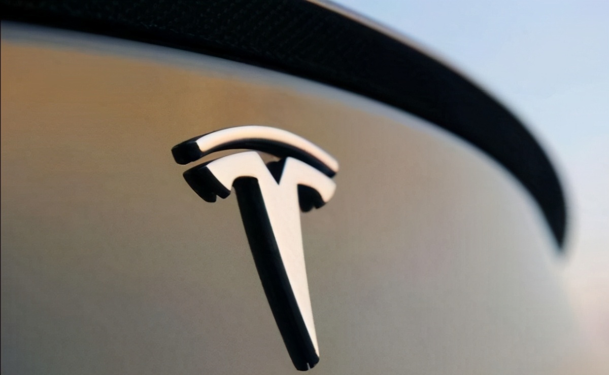 A male Tesla owner sued a female human rights defender: My Tesla is ...