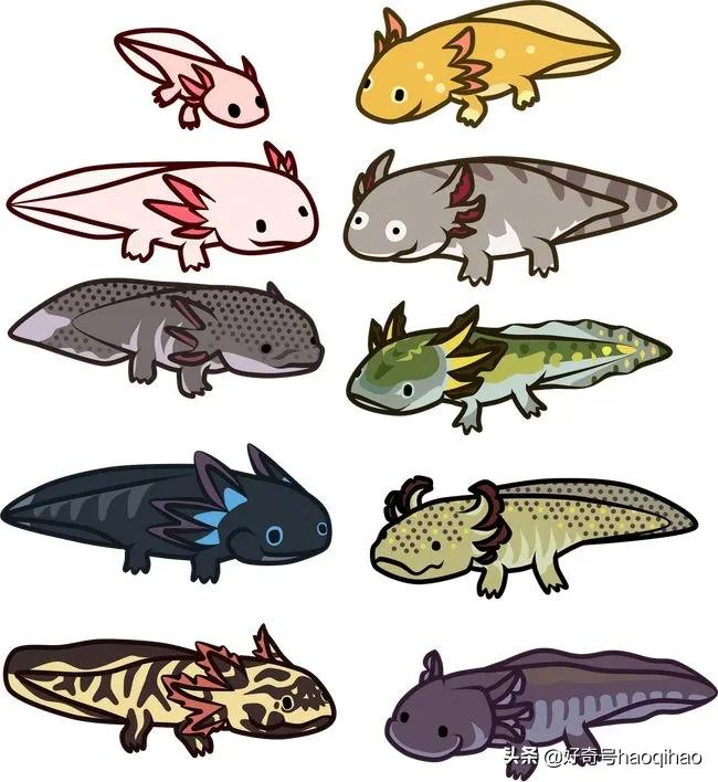 Regenerate and small hexagonal dinosaurs. Pay attention to these 5 ...