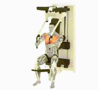 How to get a square pectoral muscle?Add these actions to your training ...