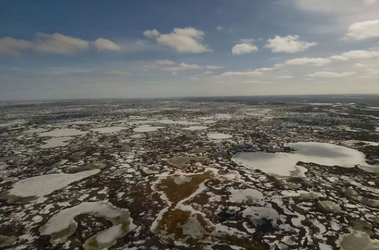 The Arctic permafrost is rapidly melting, and nematodes that have been ...