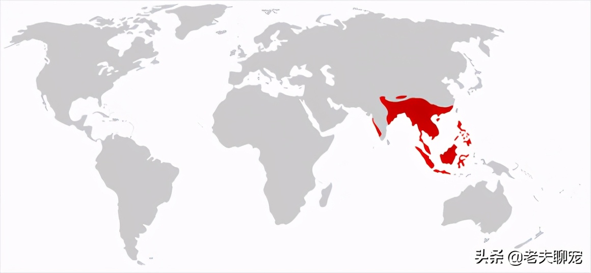 200,000 people are bitten by poisonous snakes every year! Do you ...