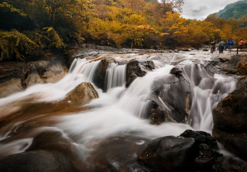 In 7 days, the three major red leaf scenic spots span the two provinces ...