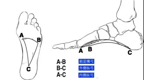 In middle age, the arch of the foot gradually "collapses"!A footprint ...