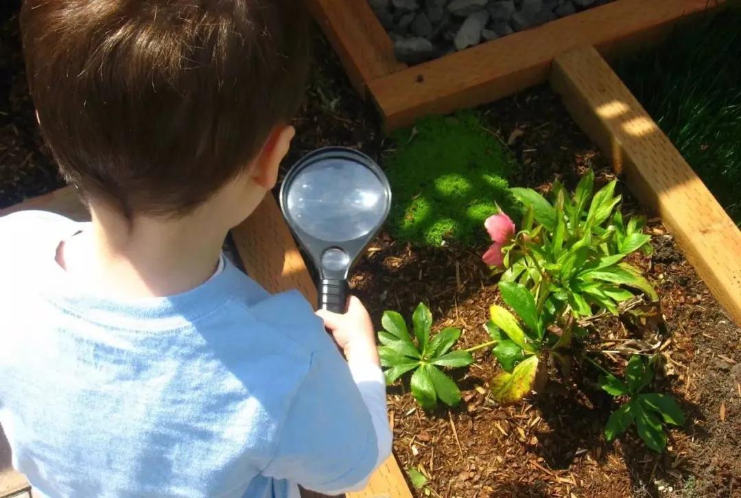 Of all the interests, parents should cultivate their children's ...
