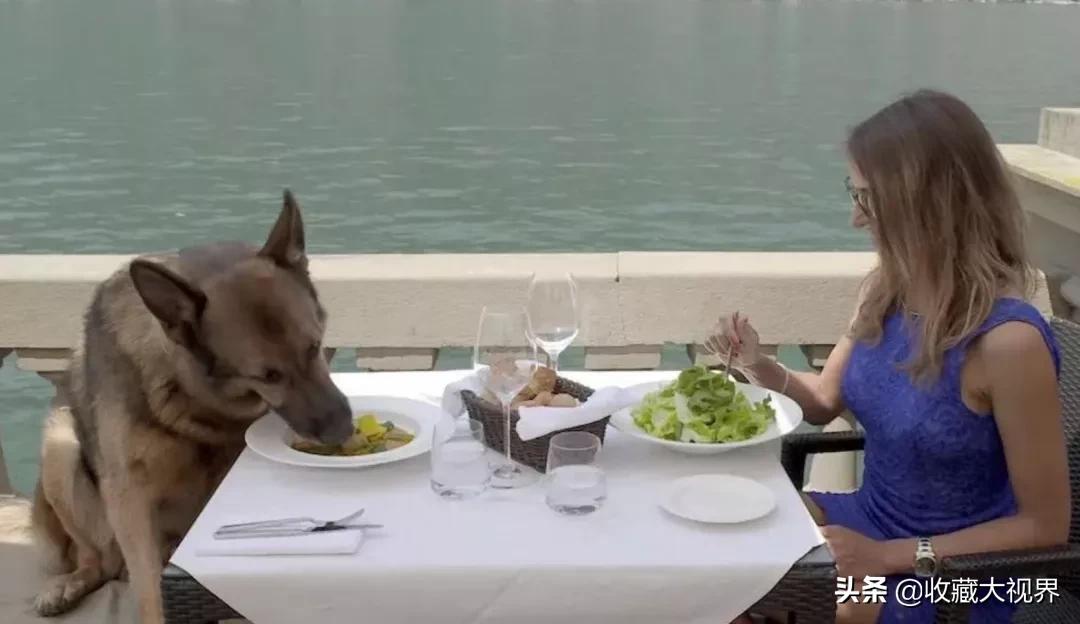 The world-famous "Gunther family" has 28 years of development, with ...