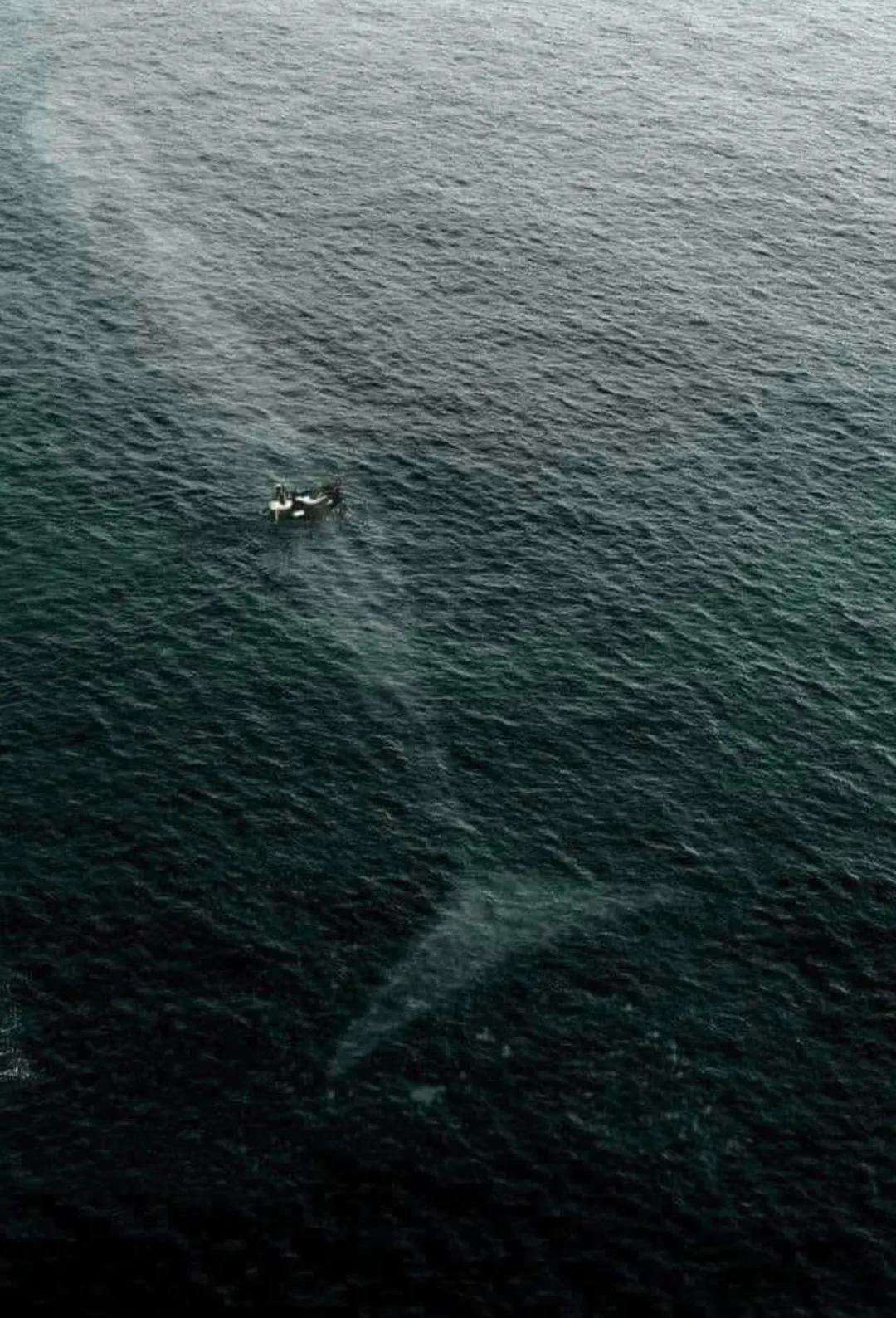 After reading these 30 photos, the phobia of giants has completely ...