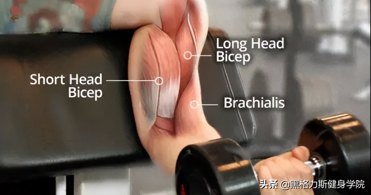 What kind of experience is arm circumference 40+CM? - iNEWS