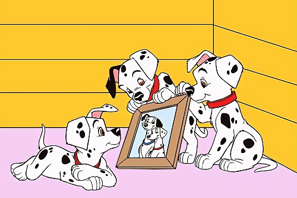 Stone sister brings "Kuira", remember the classic animation? Childhood ...