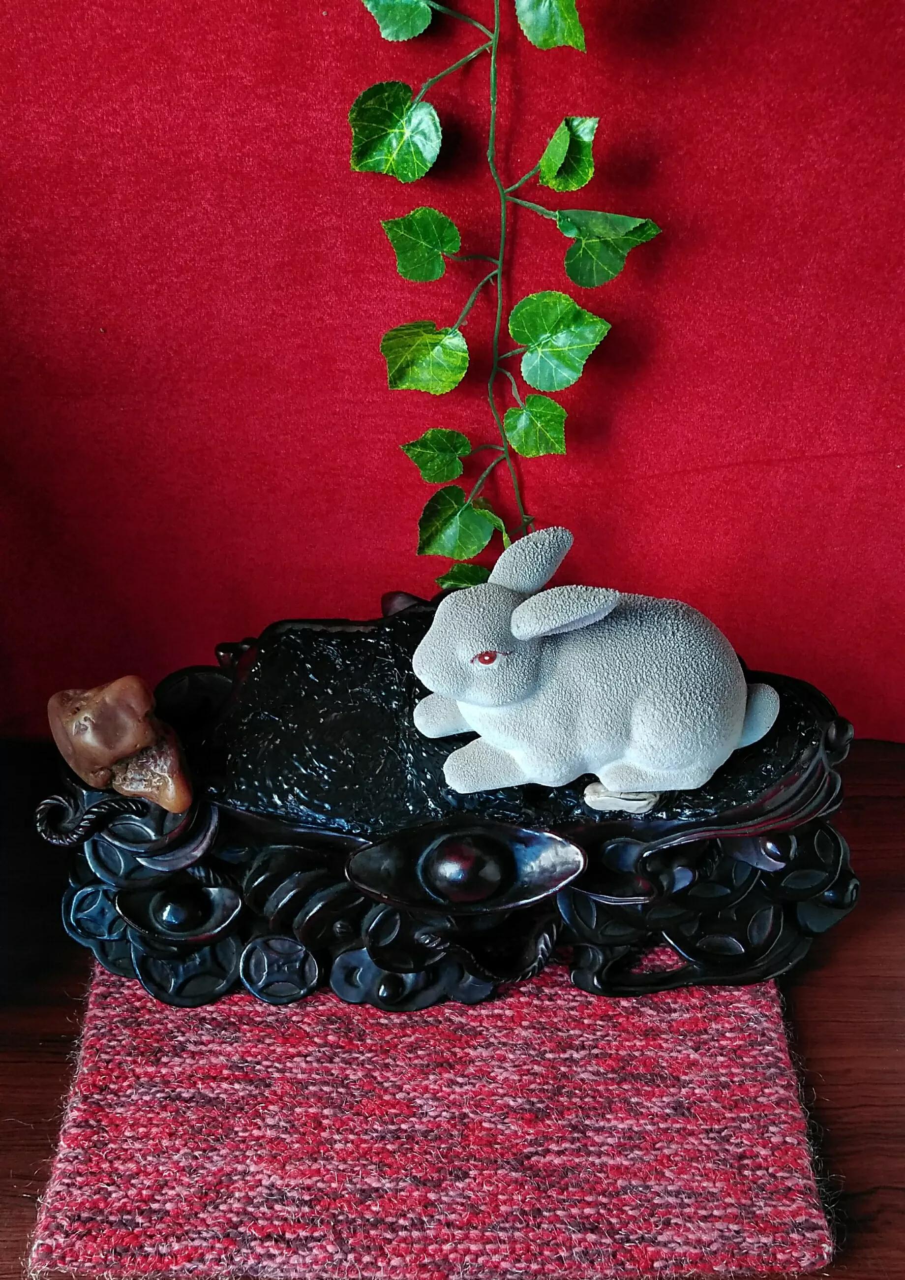 Yutu, Yuetu, Master Rabbit, Grandma Rabbit; which one is really the ...