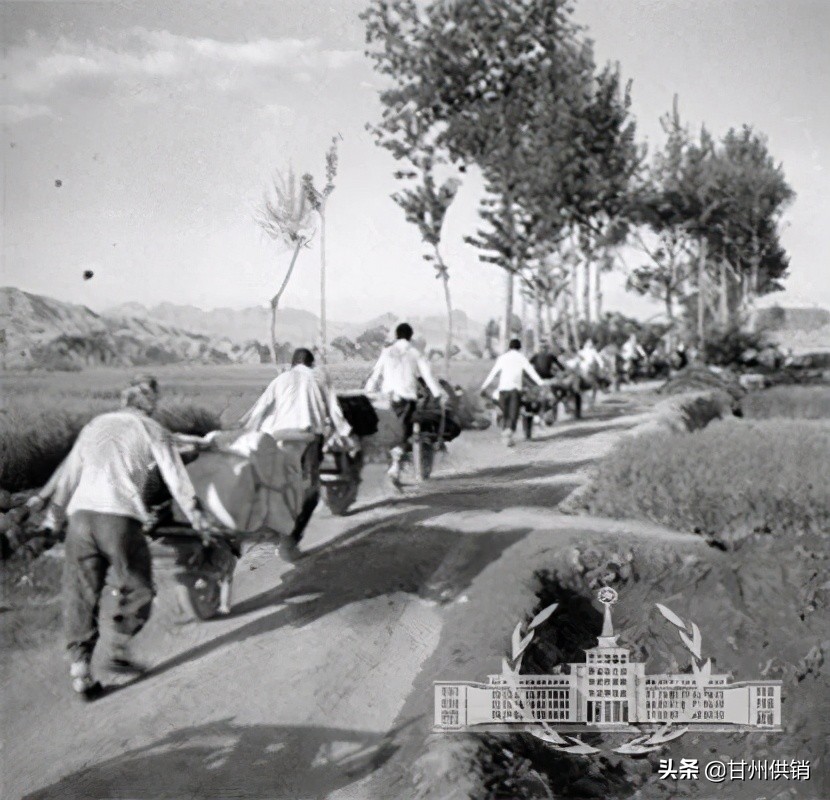 Hundred Days of Red Supply and Marketing ⑭The Mutual Aid and ...