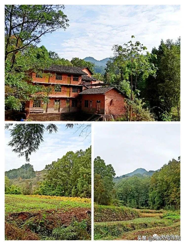 The Sichuan Characters of the Zhao Family and the Cultural Inheritance ...