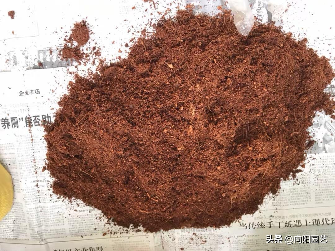 The ultra-low price of coconut chaff looks loose and breathable on the ...