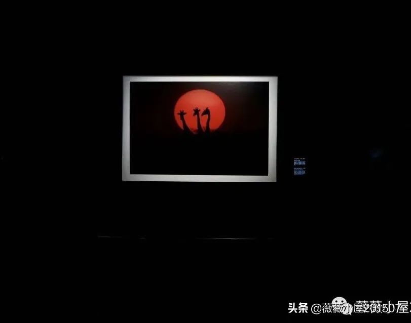 Luo Hong Photographic Art Museum - iNEWS