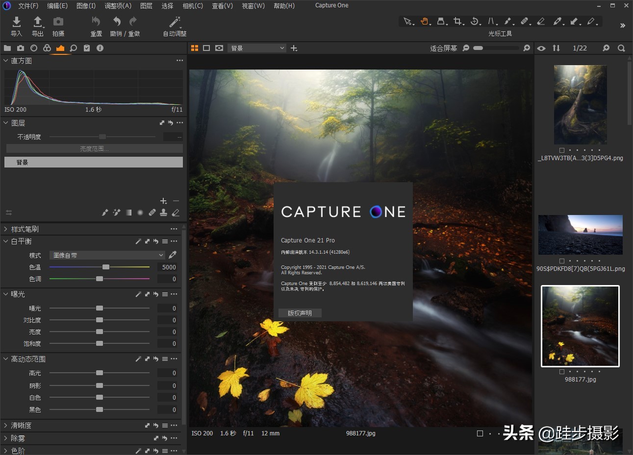Phase One Capture One Pro 21 An unmissable image editing and processing ...