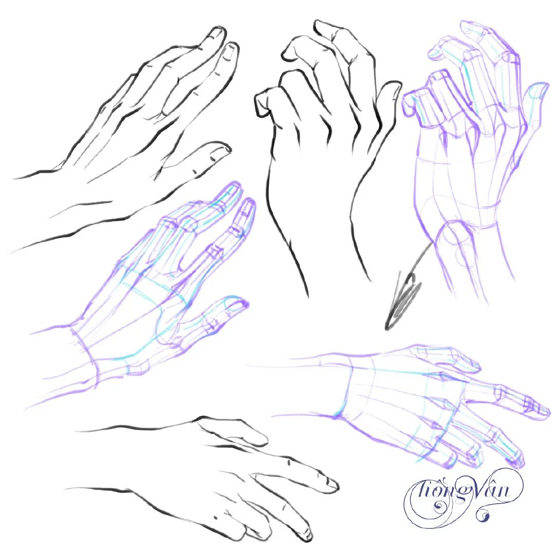 "Painting Reference" Human hand drawing reference shared by painter ...