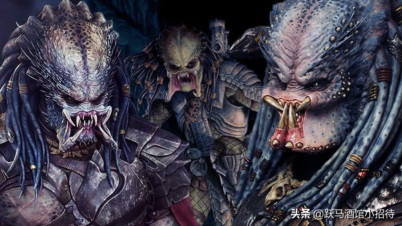 What happened to Royce and Isabella in the follow-up to The New ...