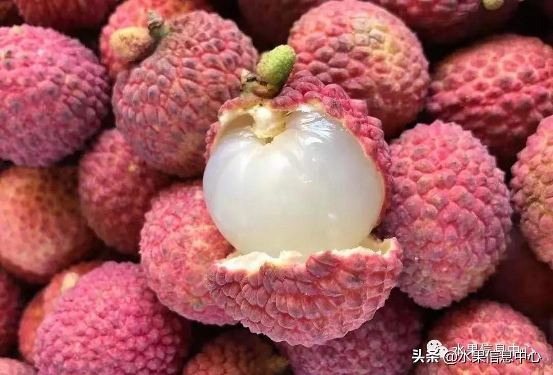 Comparison and evaluation of 10 types of lychees: Guiwei, Nuomi Cong ...