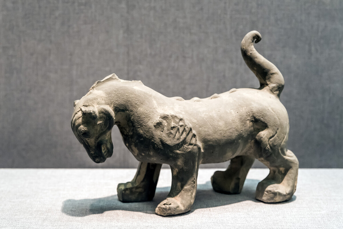 Chaos Jin (36) Sima Jie's death: follow the good as the flow, you say ...