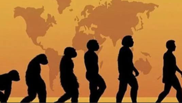 There are 206 bones in total for humans, but only 204 for Chinese. What ...