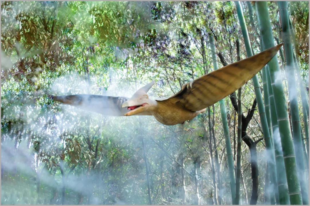 Nanjing Squirrel Tribe grandly opened on October 1, and 5000 tickets ...