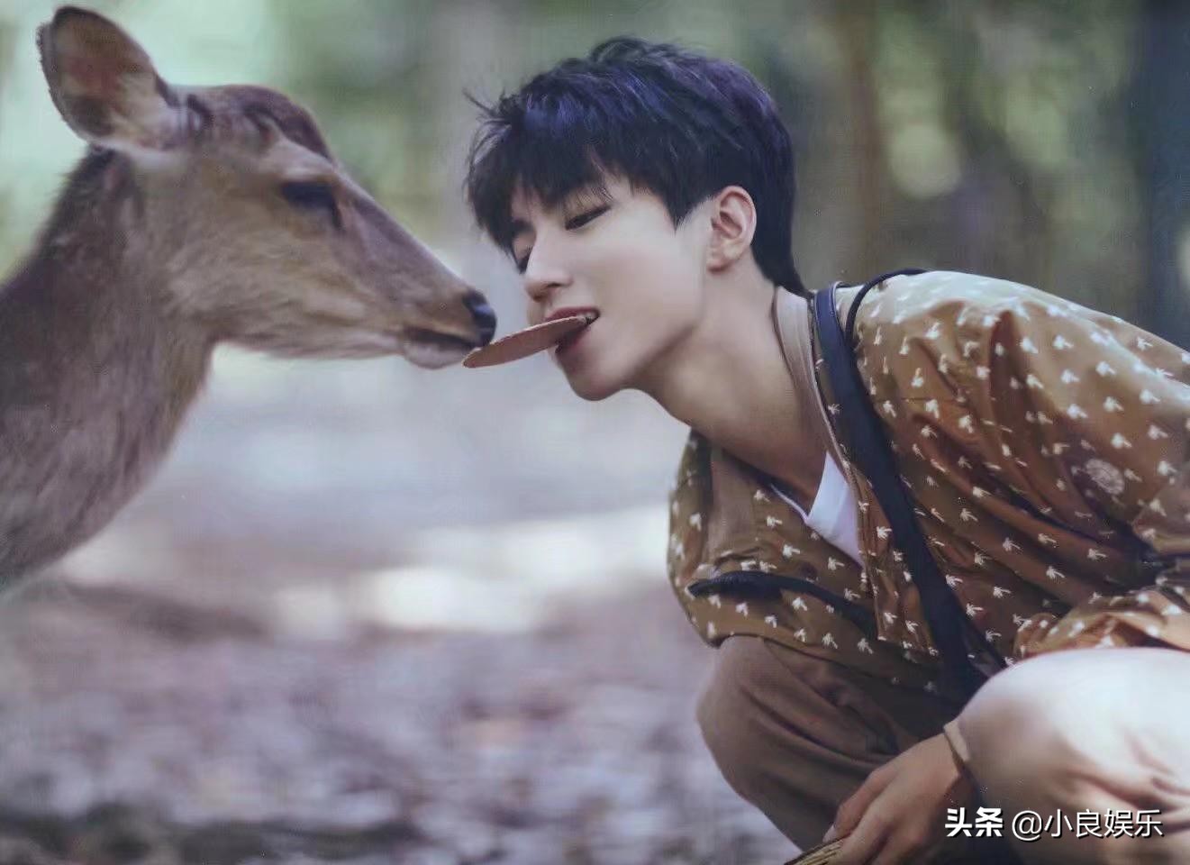 Ms. Yu spoke again and pointed out that it was the incompetence of Wang ...