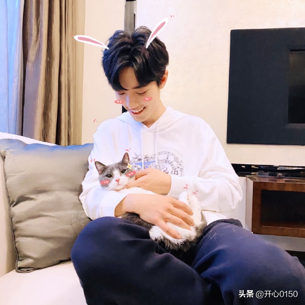 The story of Xiao Zhan and the cat, fans: Envy that cat - iNEWS