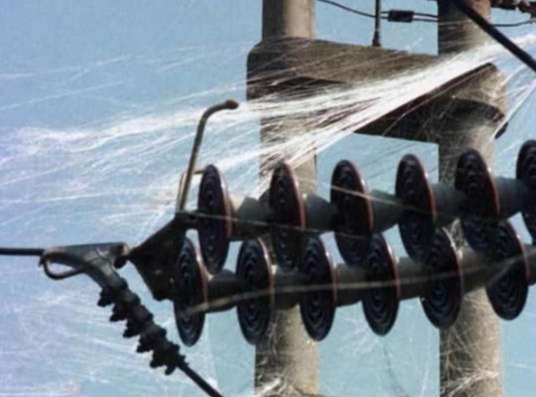 How fierce is the domestic "graphite bomb"?One can paralyze a city ...