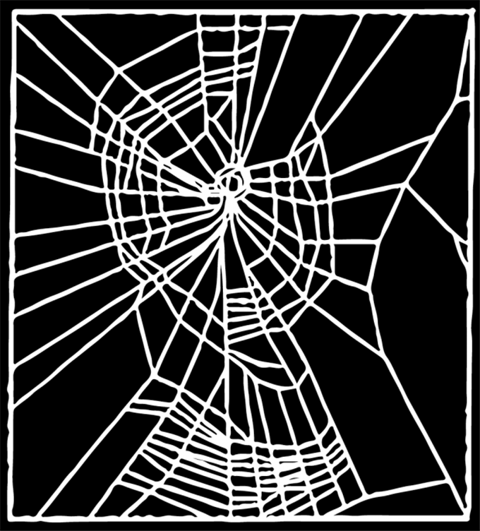 NASA's alternative spider web weaving experiment allows spiders to ...