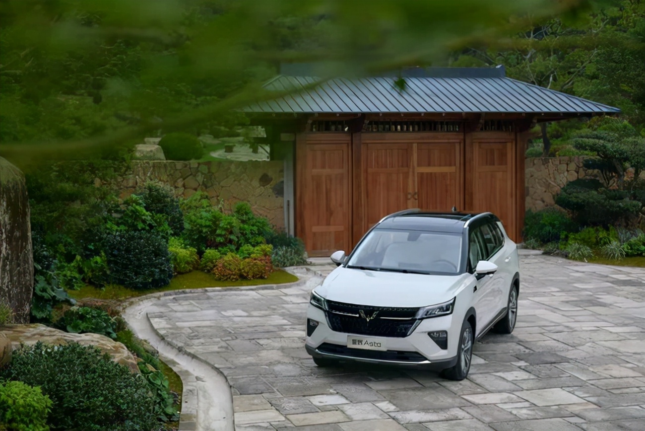 Call for Wuling Silver Standard. Capgemini has won the market, and ...