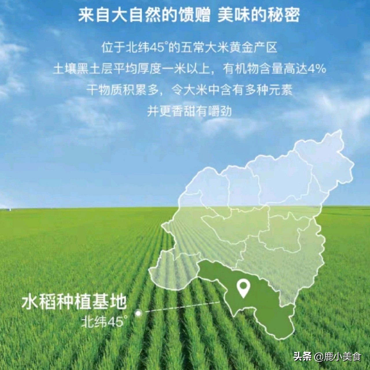 How to distinguish Wuchang rice?Meet the "3 points" is the authentic ...