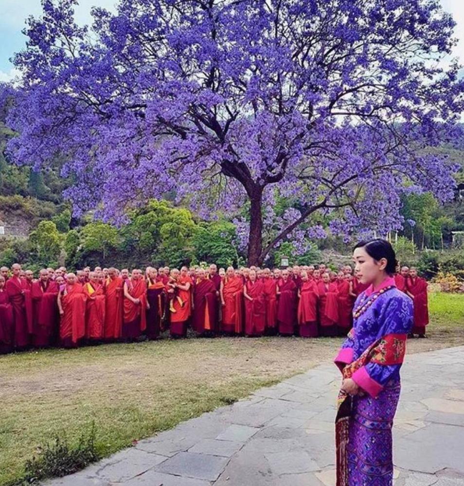 The second most beautiful princess of Bhutan: Nourished by the snow ...