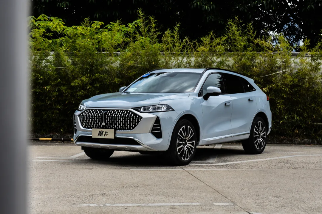 WEY Mocha: Ultra-high configuration!The repeat rate is also bursting ...