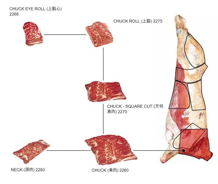 Steak part introduction - iNEWS
