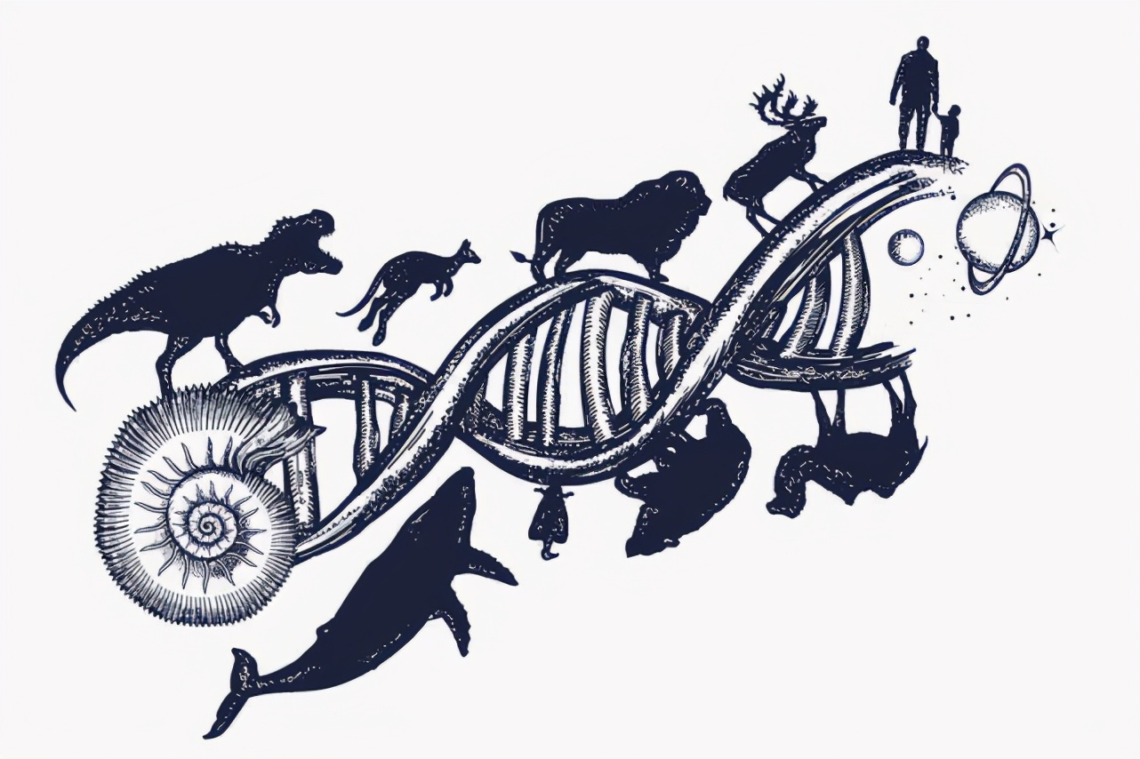 These Species Have Evolved To A dead End Although They Are Still these-species-have-evolved-to-a-dead-end-although-they-are-still