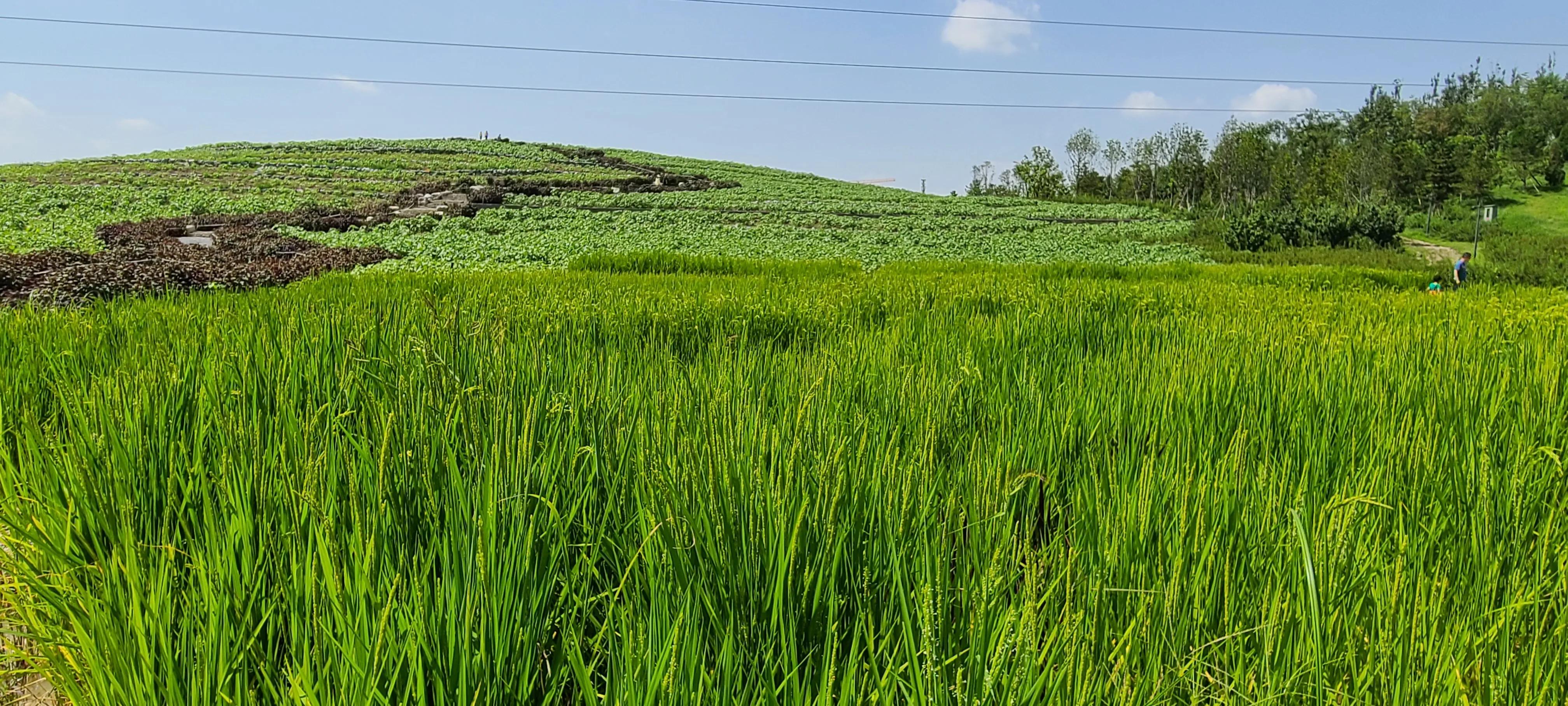 Tour Beijing Wenyu River Park - iNEWS