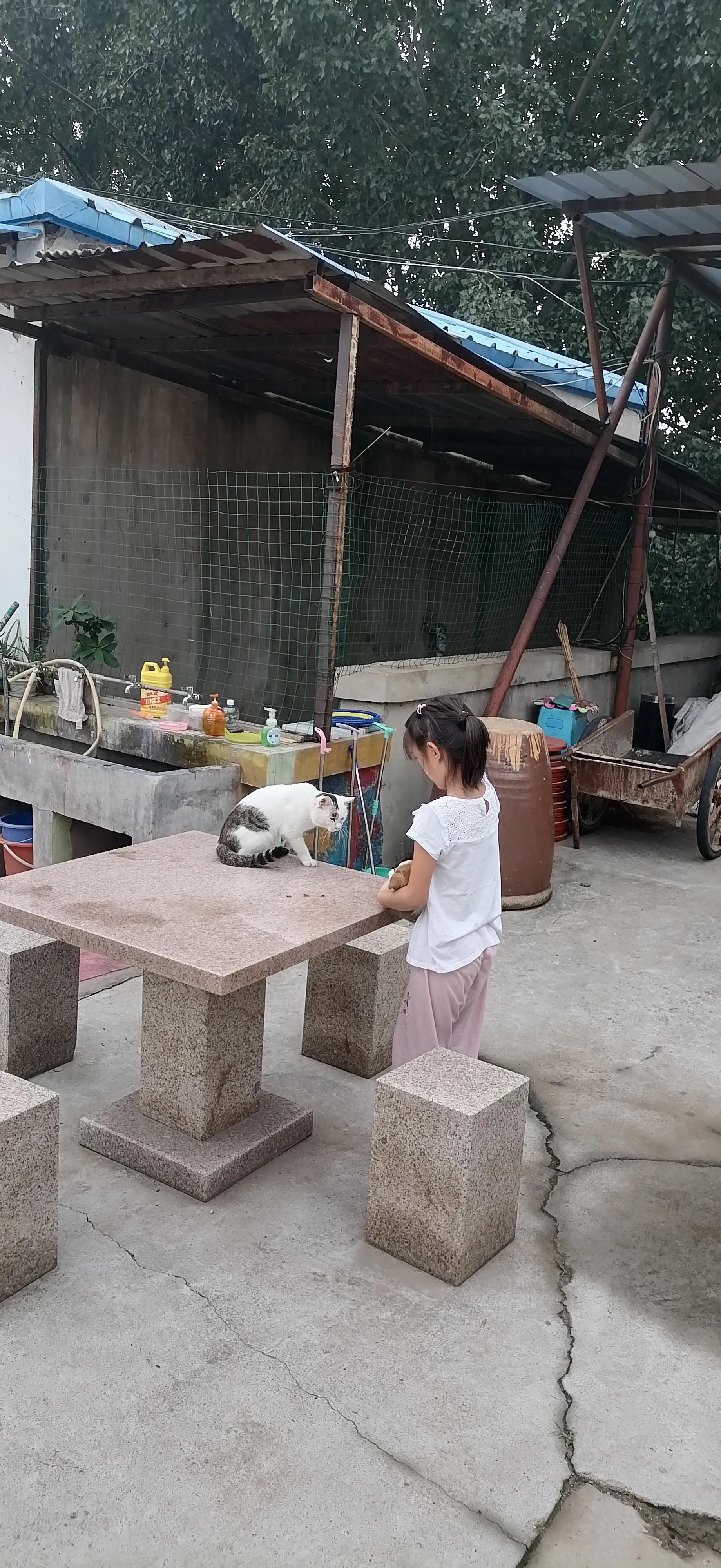 Children breathe freely, life blooms - iNEWS