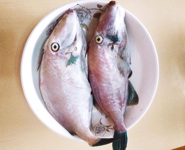 Before May 1st, 4 kinds of marine fish were plump, and when they ...