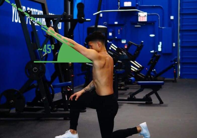 2 "must do" science-based latissimus dorsi training to quickly gain the ...