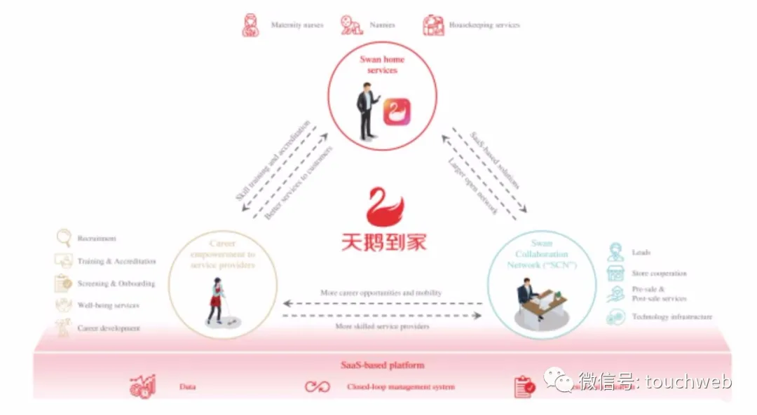 Swan arrives home to submit prospectus: platform GTV reaches 8.8 ...