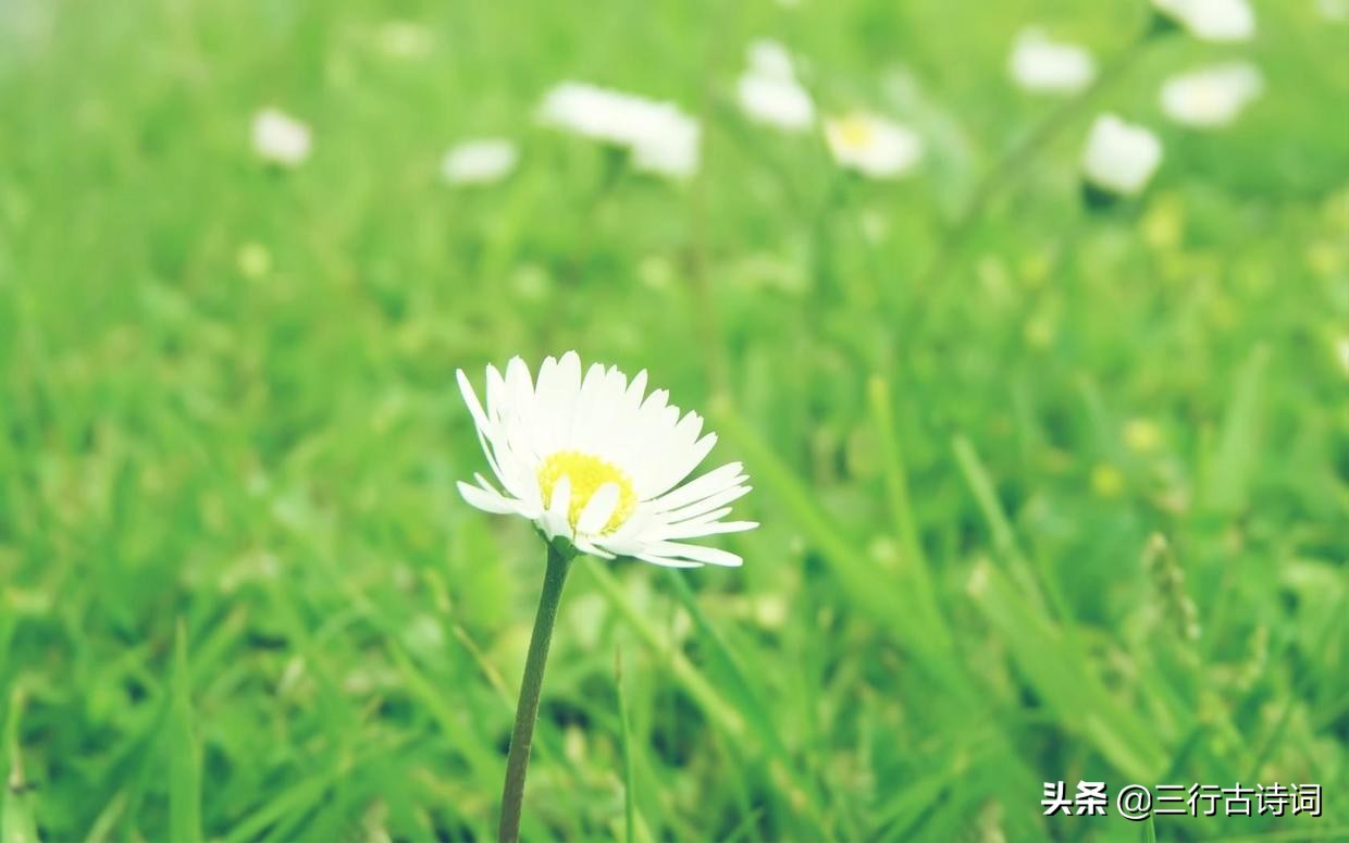 Sprinkle tears on the world, push the earth to red - iNEWS