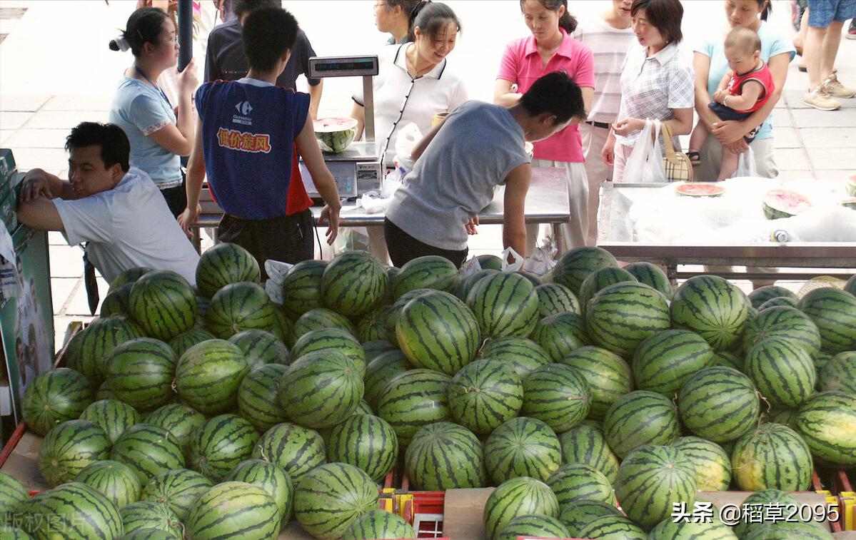 I am serious about eating melons. Remember these six points. Picking ...