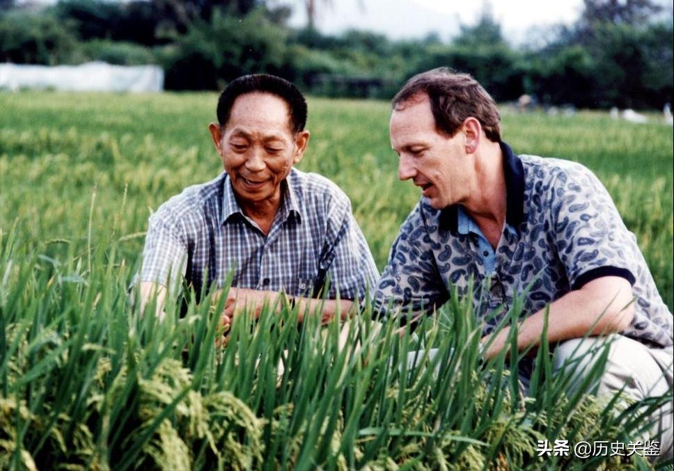 "Father of Hybrid Rice" Yuan Longping, a scientist who convinced the ...